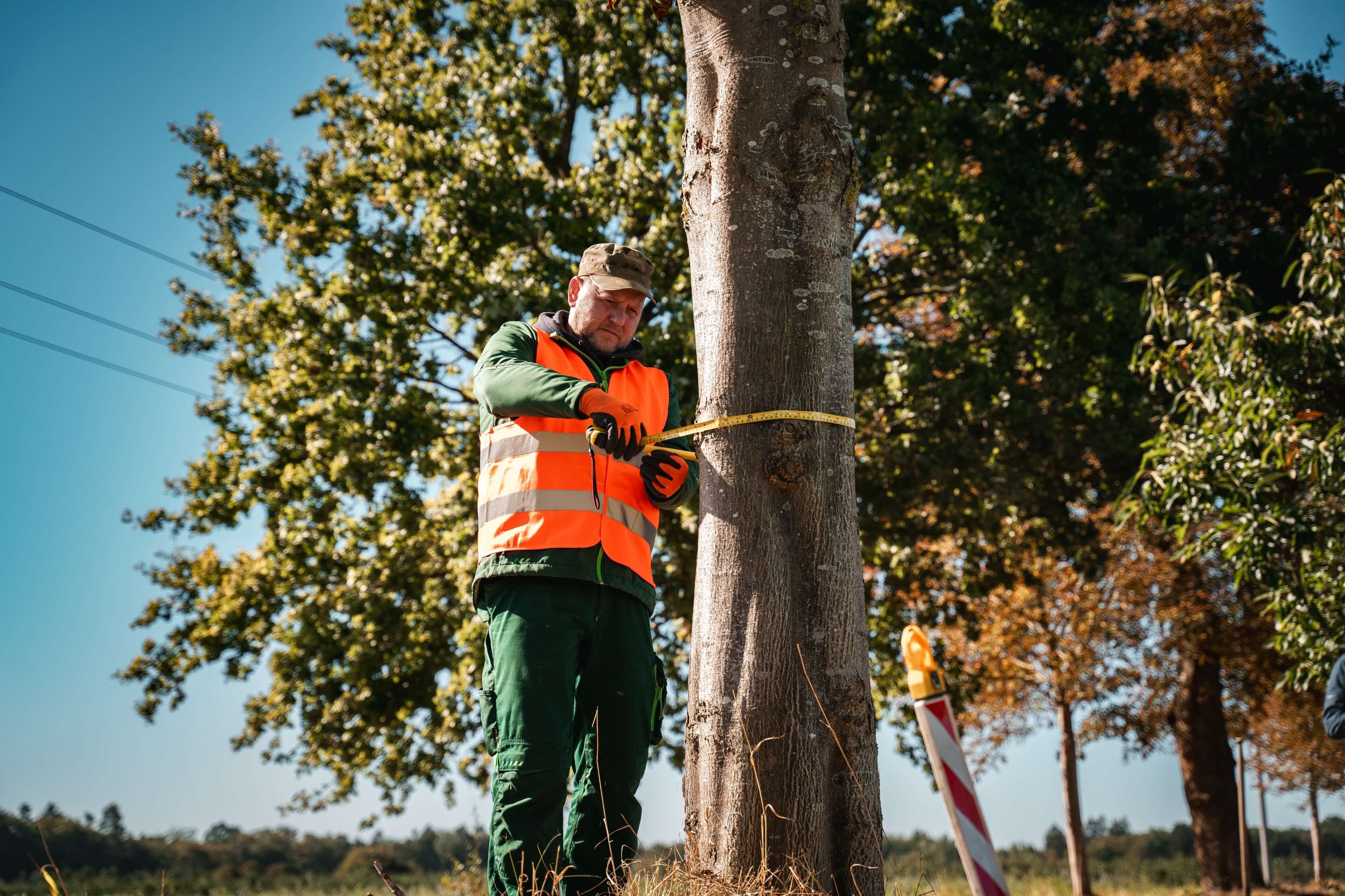 DIN 18920 - Baumschutz auf Baustellen