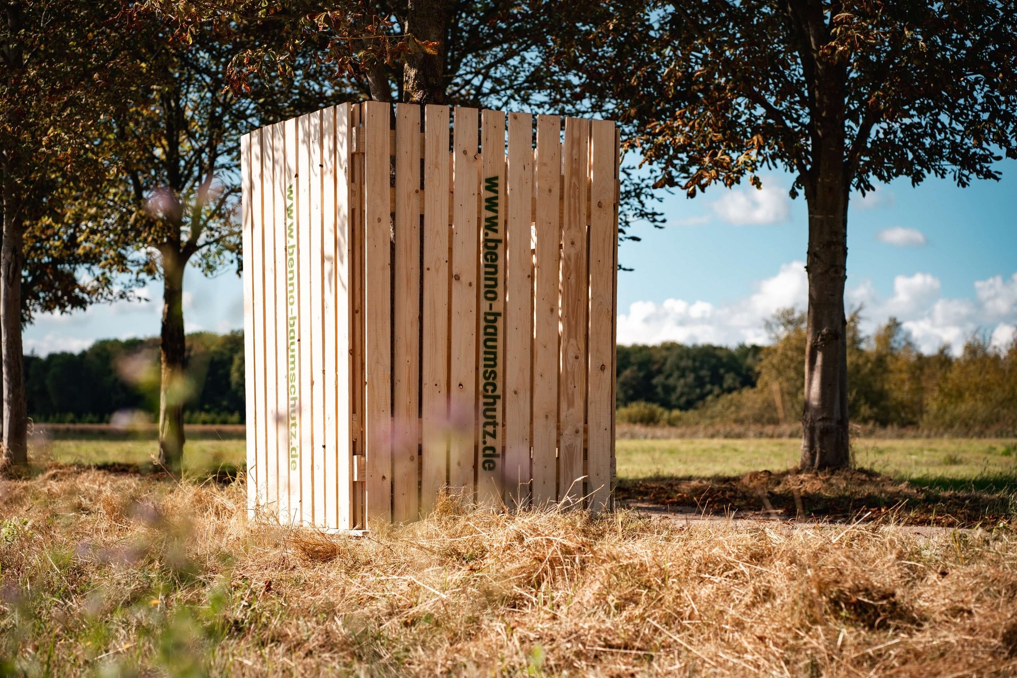 R SBB 2023 - Baumschutz auf Baustellen